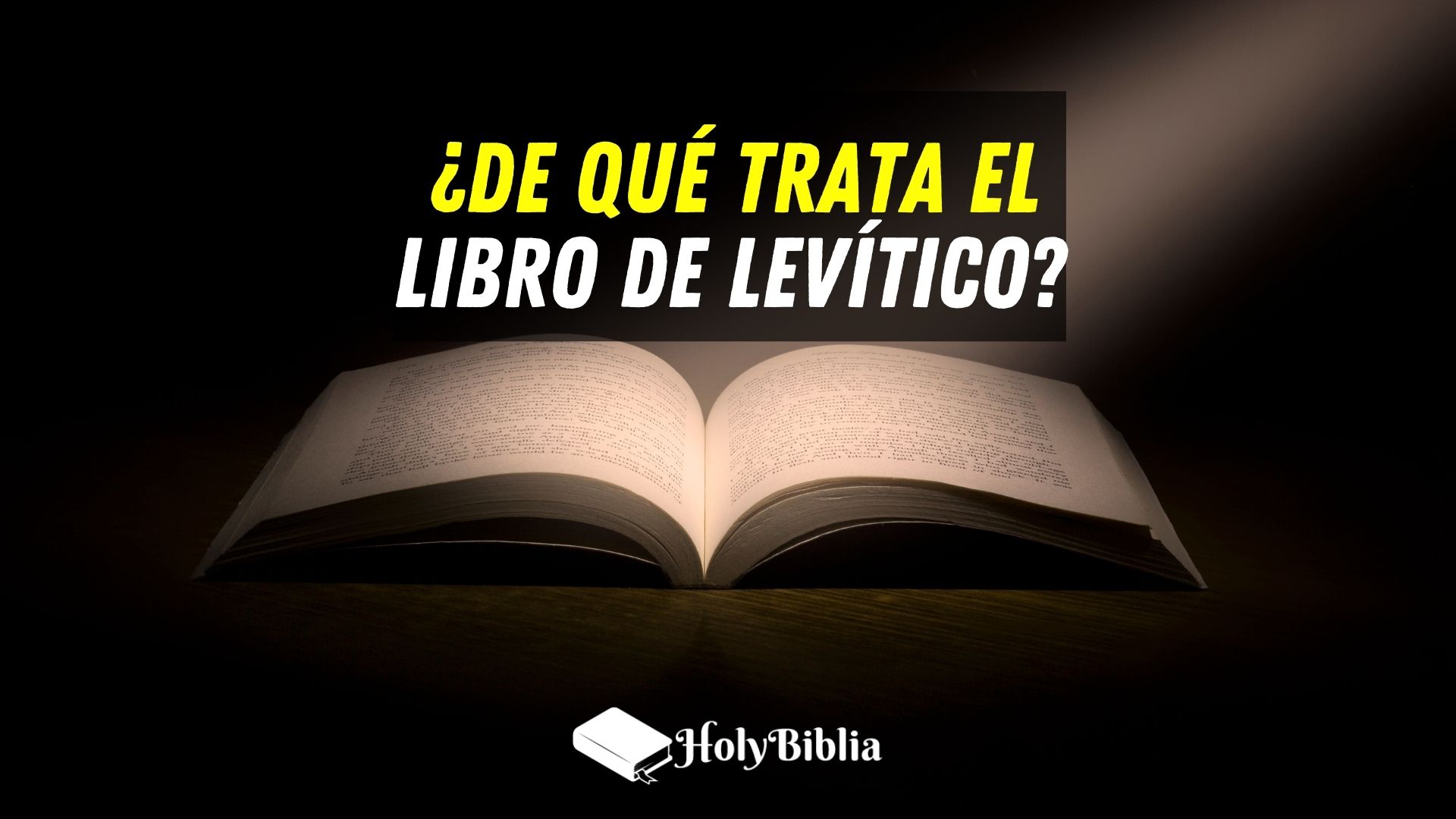 ᐅ ️ ¿De qué trata el libro de Levítico? Resumen de Levítico