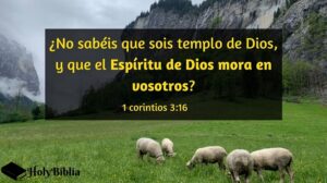 Versículos que muestran que Dios está contigo |【Holybiblia】