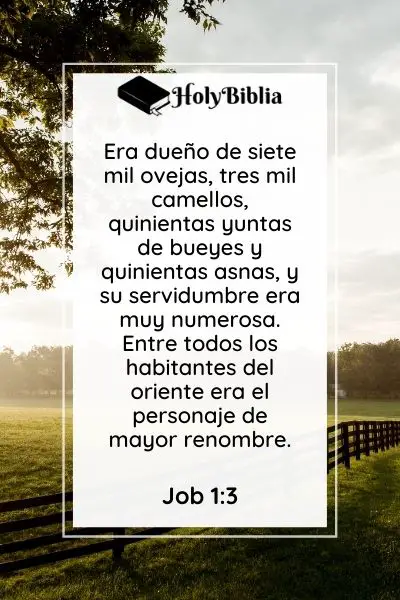 ᐅ ️ ¿Quiénes eran los amigos de Job? |【Holybiblia】