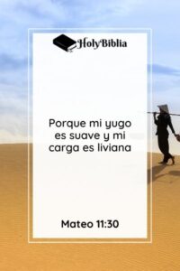 ᐅ ️ ¿Qué significa mi Yugo es fácil y ligera mi carga?