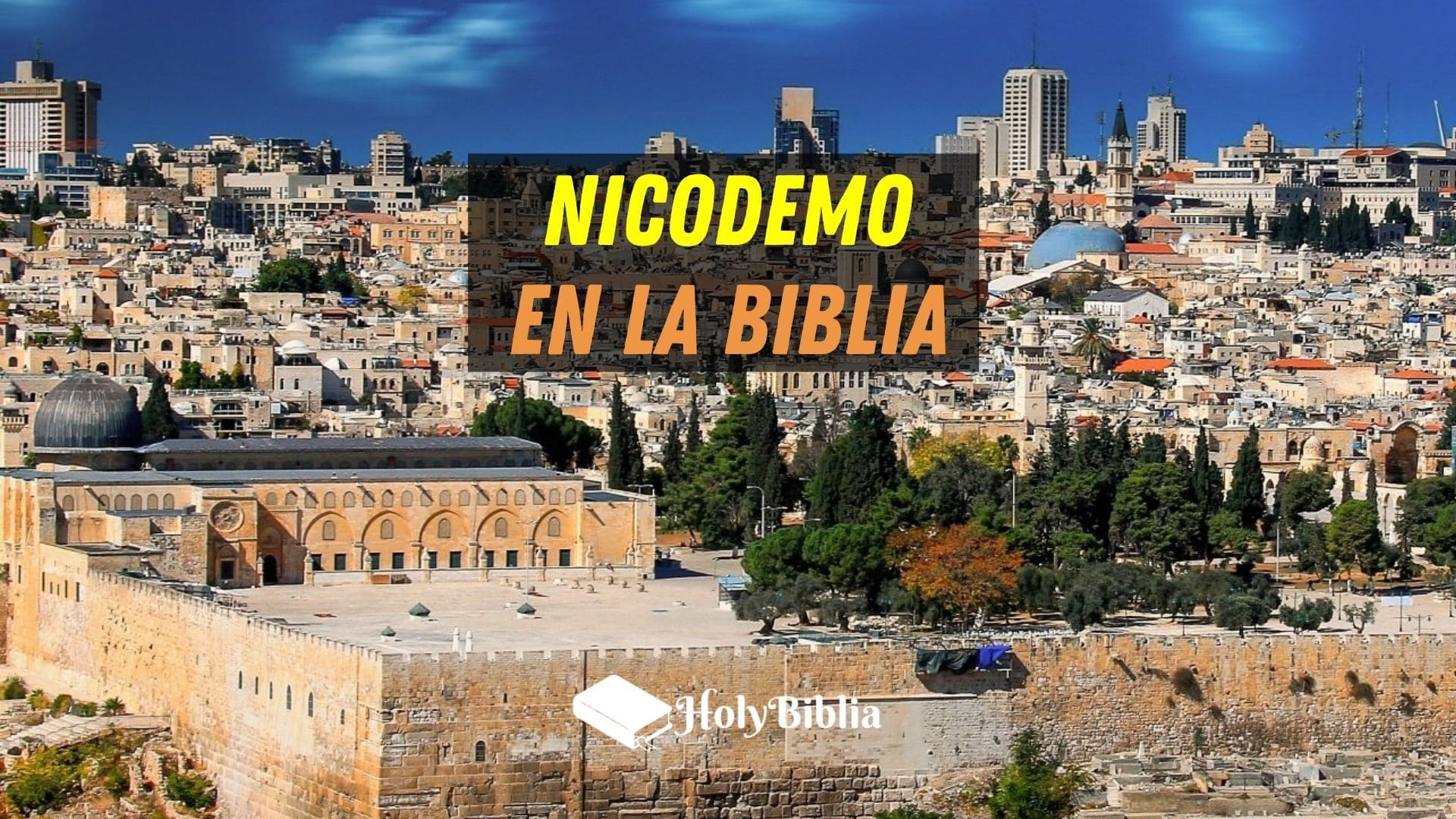 ᐅ ¿Quién era Nicodemo en la Biblia? |【Holybiblia】