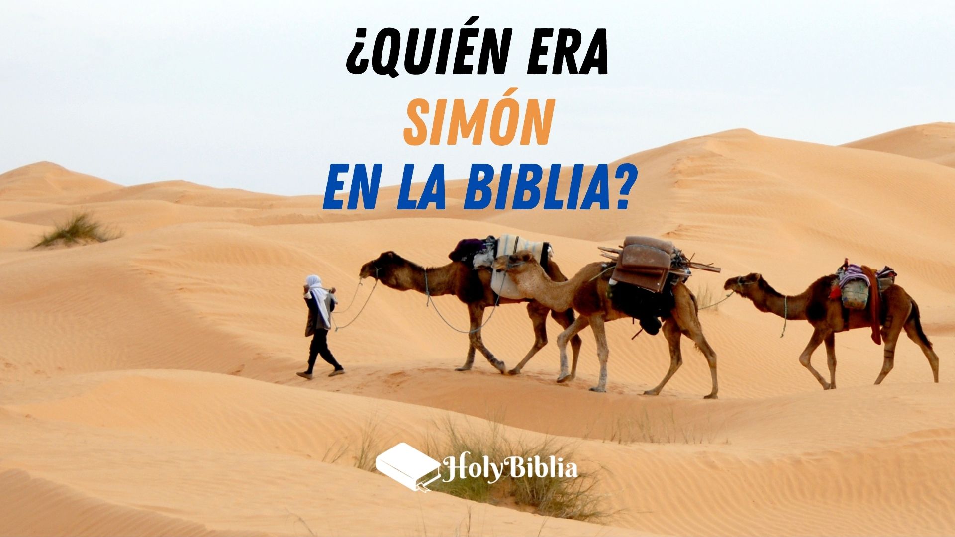 ᐅ ¿Quién era Simón en la Biblia? |【Holybiblia】